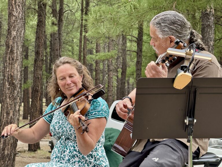 The Wild West Fiddle Project: Arizona’s Hidden Soundscape – Arizona ...
